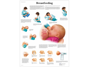 Anatomical Chart - Breastfeeding - A-1 Medical Integration