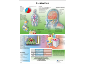 Anatomical Chart - Headaches - A-1 Medical Integration