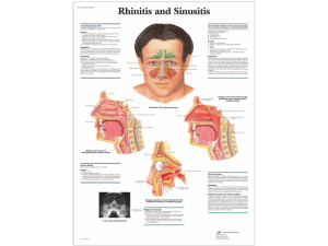 Anatomical Chart - Rhinitis and Sinusitis - A-1 Medical Integration