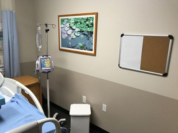 ICU / Recovery Patient Room Set - A-1 Medical Integration