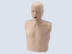 CPR Torso - Adult "Prestan" Dummy - A-1 Medical Integration
