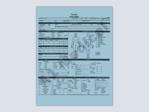 Medical Chart Paperwork 04 - Trauma Flow Sheet (Blue Paper) - A-1 ...