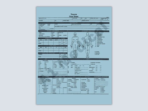 Medical Chart Paperwork 04 - Trauma Flow Sheet (Blue Paper) - A-1 ...