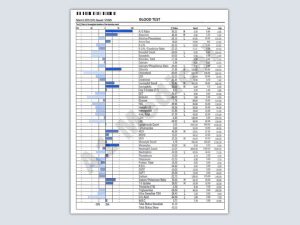 Medical Chart Paperwork 12 - Blood Test Report - A-1 Medical Integration