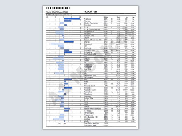 Medical Chart Paperwork 12 - Blood Test Report - A-1 Medical Integration